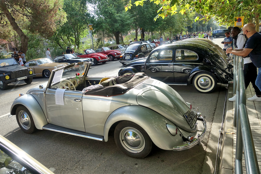 Volkswagen Split-window - Terjes biler - Med delt bakvindu.