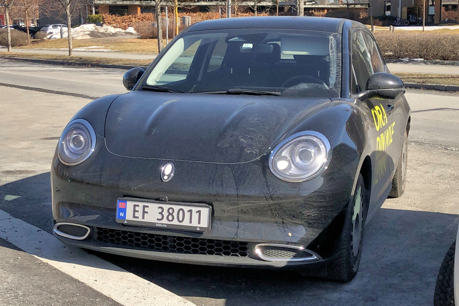 ORA 300 Pro - Terjes biler